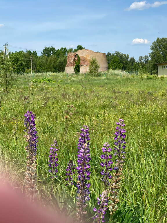 Turistik yerler Руины ветряной мельницы, Pskovskaya oblastı, foto