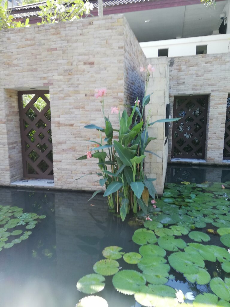 Kısa süreli konaklama Northpoint A, Pattaya, foto