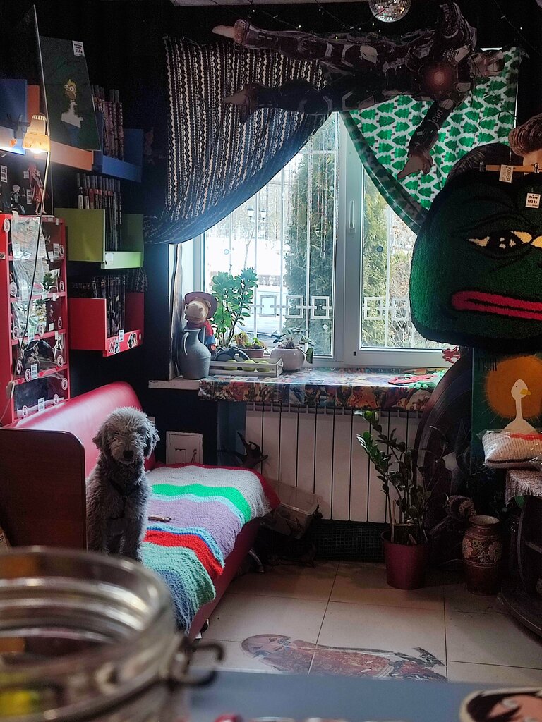 Çizgi roman dükkanı Комикон, Pyatigorsk, foto