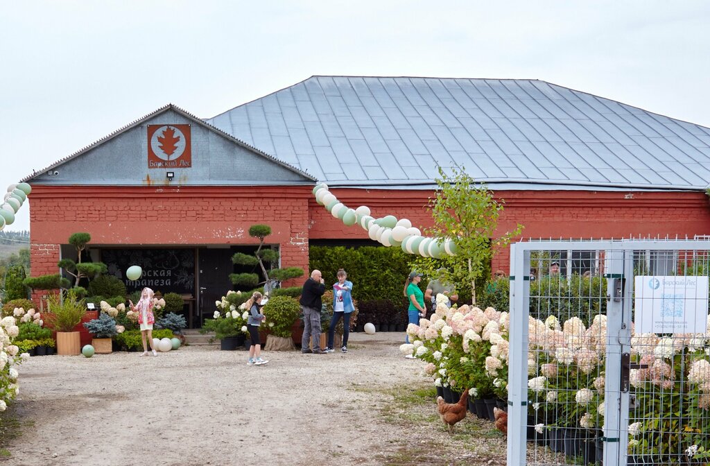 Sera ve bahçe ürünleri Pitomnik dekorativnyh rastenij Barskij Les, Lipetskaya oblastı, foto