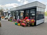 1000 Мелочей (vulica Krupskaj No:119), mini-market  Moguilev'den
