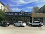 Mega Flora (Shamshi Kaldayakov Street No:27Г), çiçekçiler  Aktöbe'den