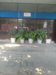 Conol (Luanda Province, Municipality of Luanda, Maculusso), satış ofisi  Loanda'dan