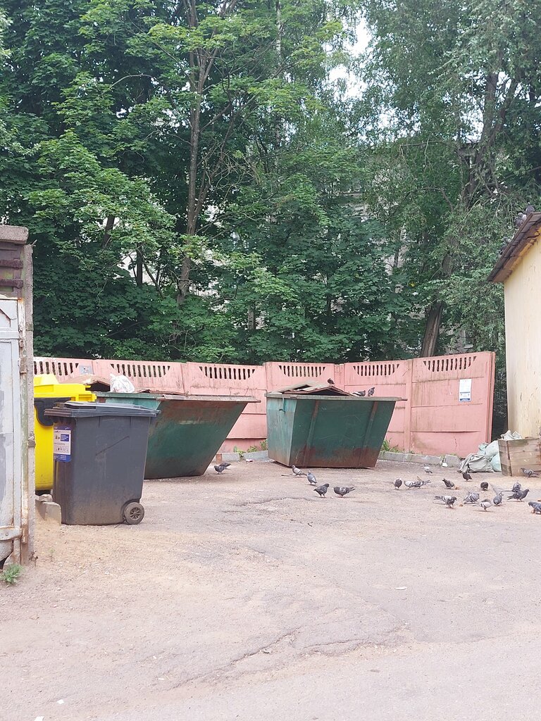 Çöp alanları Trash and garbage disposal area, Saint‑Petersburg, foto