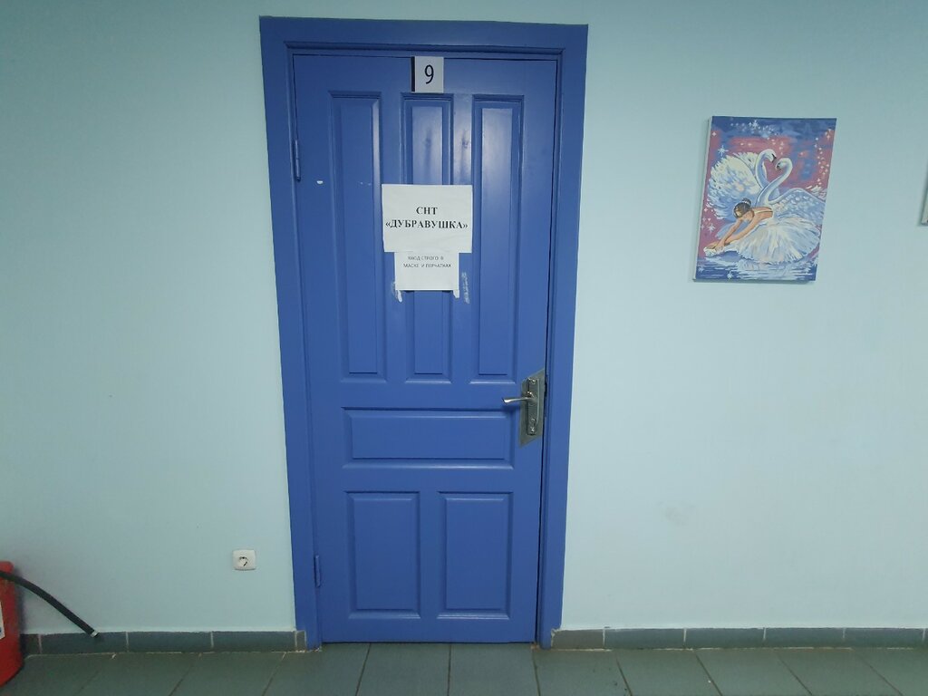 Bahçecilik dernekleri ve kuruluşları Дубравушка, Naberejniye Çelny (Yar Çallı), foto