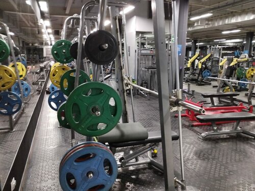 Flex Fitness 49