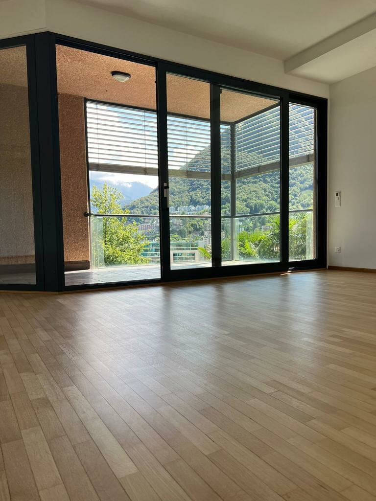 Temizlik şirketleri Milotrade di Milos Petrovic, Lugano, foto