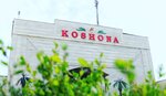 Koshona (N. Mirzayev koʻchasi No:357, Ibn Sino mahalla fuqarolar yigʻini), restoran