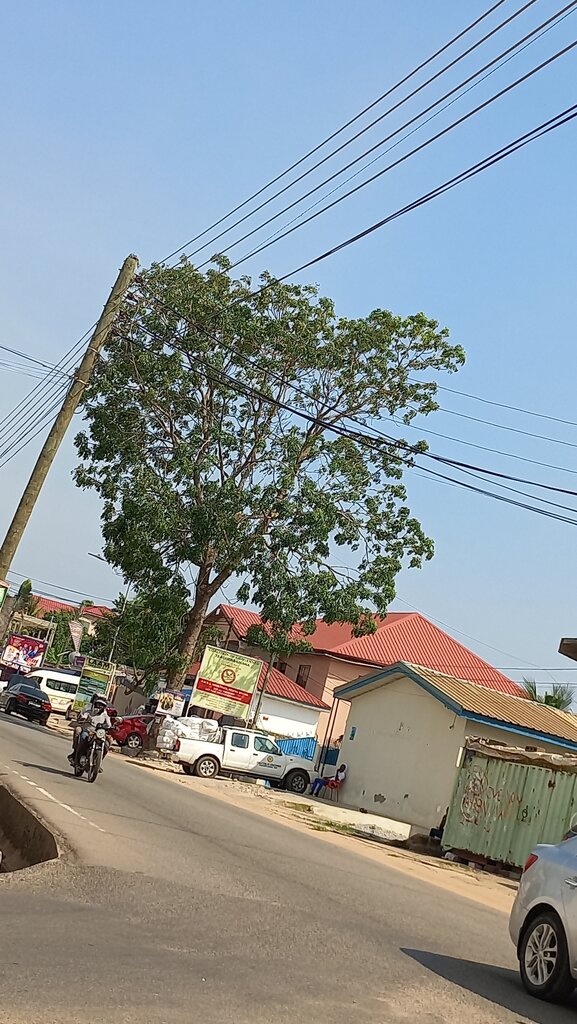 Eğitim denetim kurumları Coalition of concern teachers ghana, Akra, foto