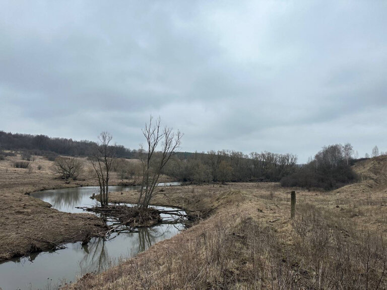 Orman лес Мармыжка, Lipetskaya oblastı, foto