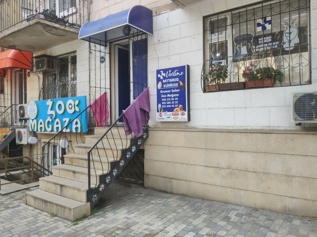 Veteriner klinikleri VetLine, Bakü, foto