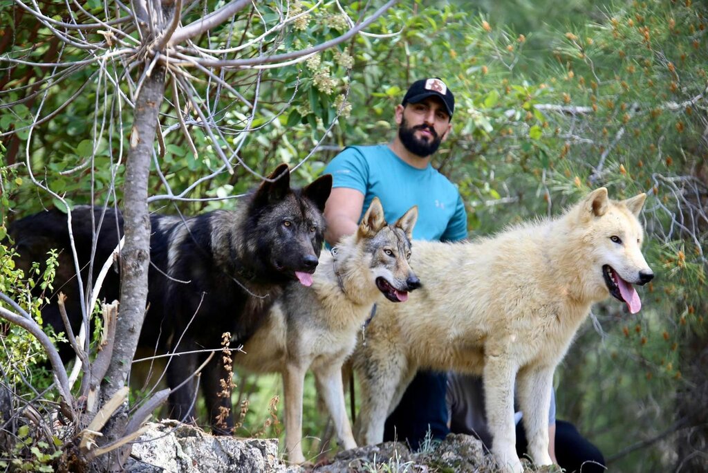 Pet otel Gostinitsa dlya domashnikh zhivotnykh, Kopeysk, foto