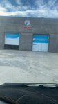 Dalsan (Shymkent, Enbekshi District), kumaşçılar  Çimkent'ten (Şımkent'ten)