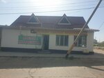 U Jamily (Jalpaqtóbe kóshesi No:376, Zhalpak-Tobe microdistrict, Taraz), manavlar  Jambıl eyaletinden