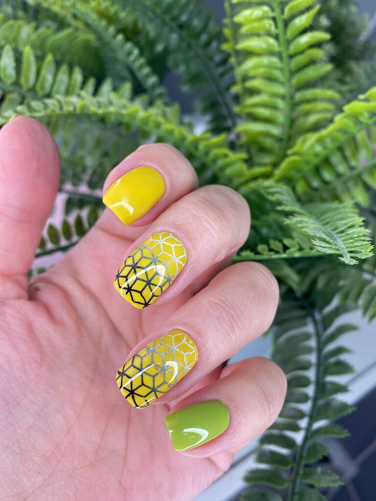 Uzman hizmetleri Fedulovanails, Podolsk, foto