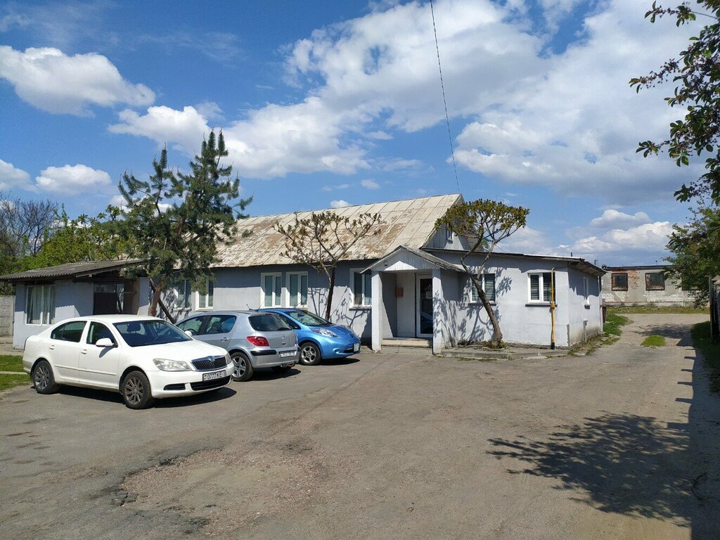 Hamam ve sauna inşaatı Форест Респект, Gomel, foto