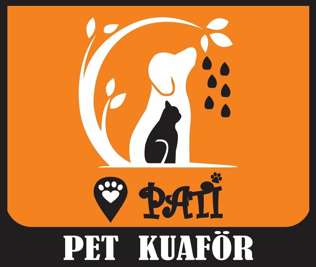 Evcil hayvan kuaförleri Pati Pet Kuaför, İstanbul, foto