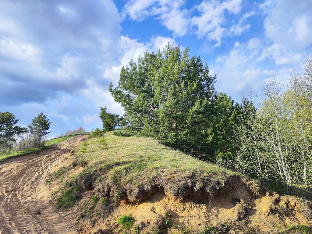 Seyir terası Смотровая площадка, Toropets, foto