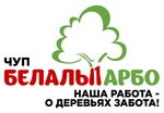 BelAlpArbo (Bresckaja vulica No:2А), şehir planlama  Zhodzina'dan