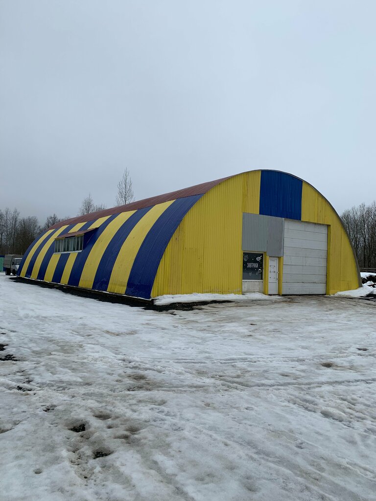 Otomobil servisi Avto service, Novgorodskaya oblastı, foto