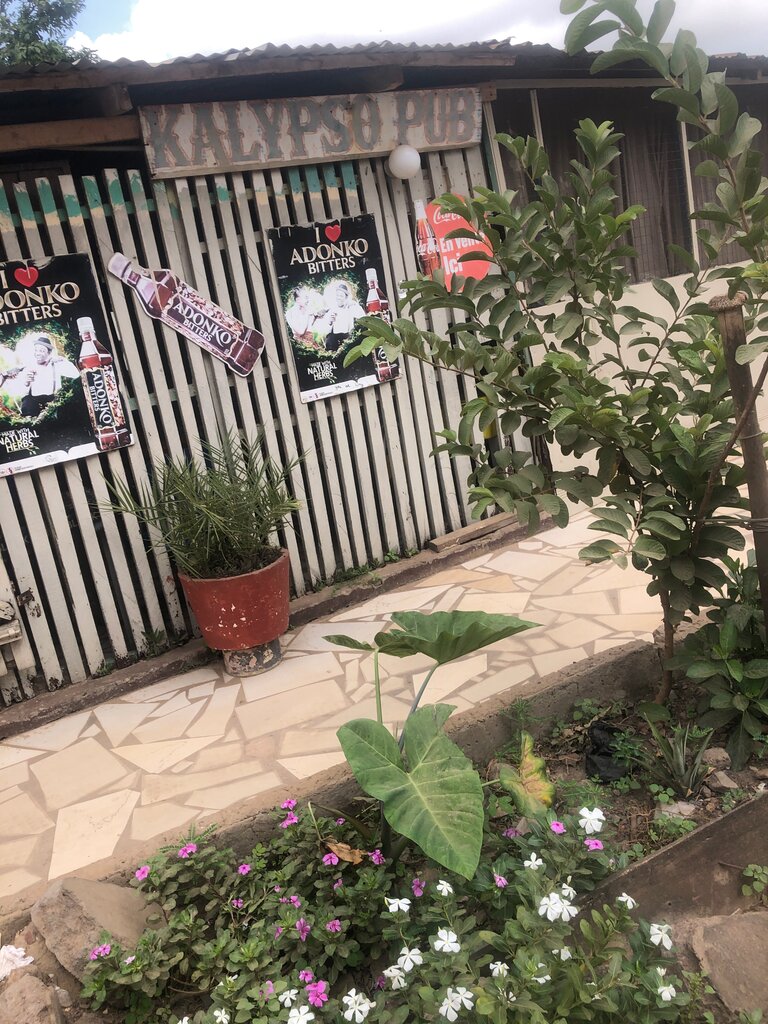 Bar Kalypdo, Dünya, foto