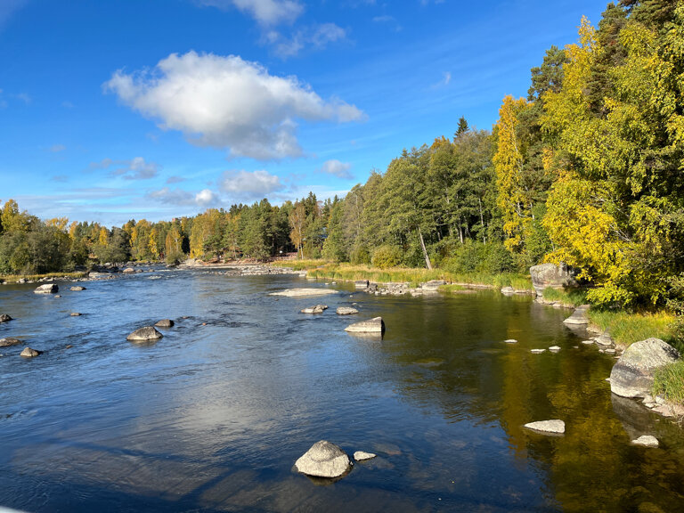 Kültür ve eğlence parkları Langinkosken Luonnonpuisto, Kotka, foto
