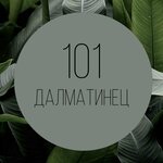101 Dalmatians (Gubanova Street No:20А), evcil hayvan kuaförleri  Samara'dan