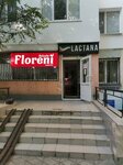 Avicola Floreni (strada Vasile Dokuceaev No:4), kasap, şarküteri  Kişinev'den