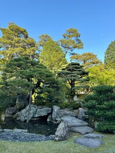 Kyoto Gyoen National Garden (Kyoto Prefecture, Kyoto, Kyoto Gyoen National Garden), kültür ve eğlence parkları  Kyoto'dan