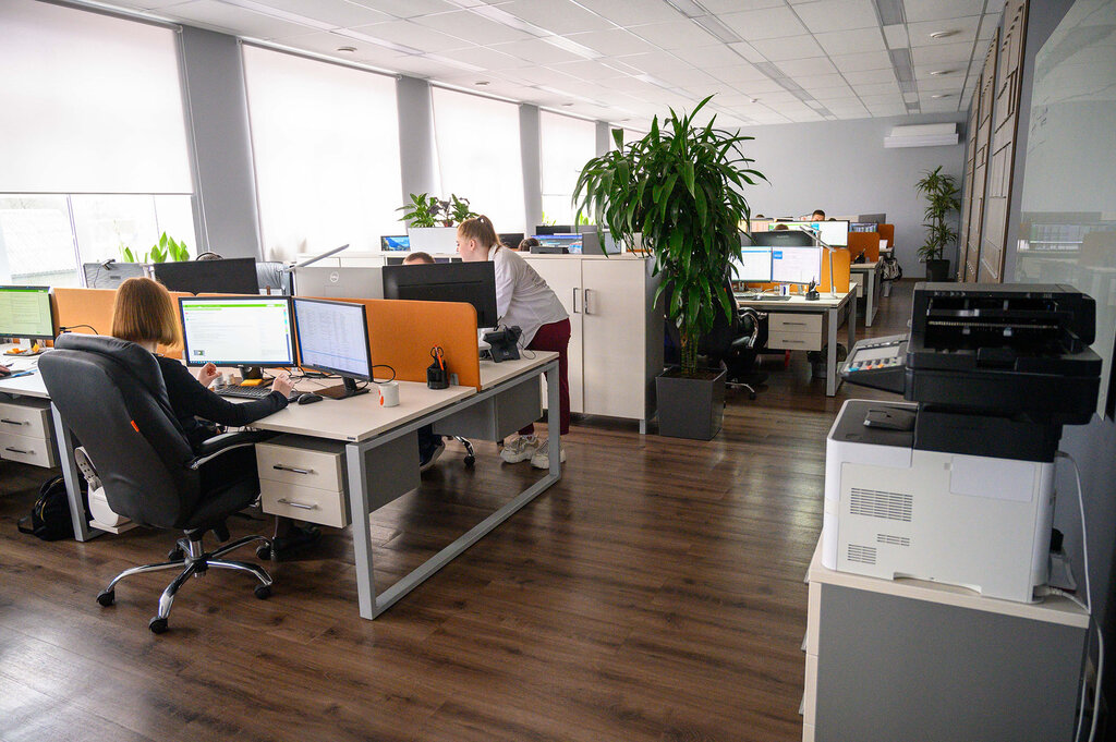 Bilişim firmaları Элдис, Staraya Russa, foto