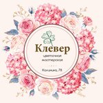 Klever (ulitsa Kalinina No:78), çiçek teslimatı  Klintsy'den