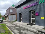 Wildberries (Sherbakova Street No:19/1), teslimat noktası  Tiumen'den