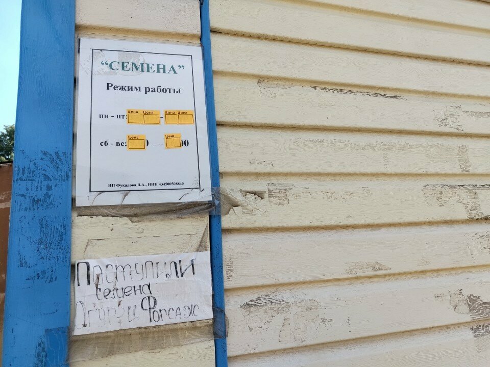 Tohum satan yerler Магазин цветов и семян, Kirov, foto