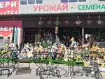 Магазин Урожай (Rostov Region, Aksayskiy rayon, Bolshelogskoye selskoye poseleniye, posyolok Yantarny), bahçecilik mağazaları  Rostovskaya oblastından