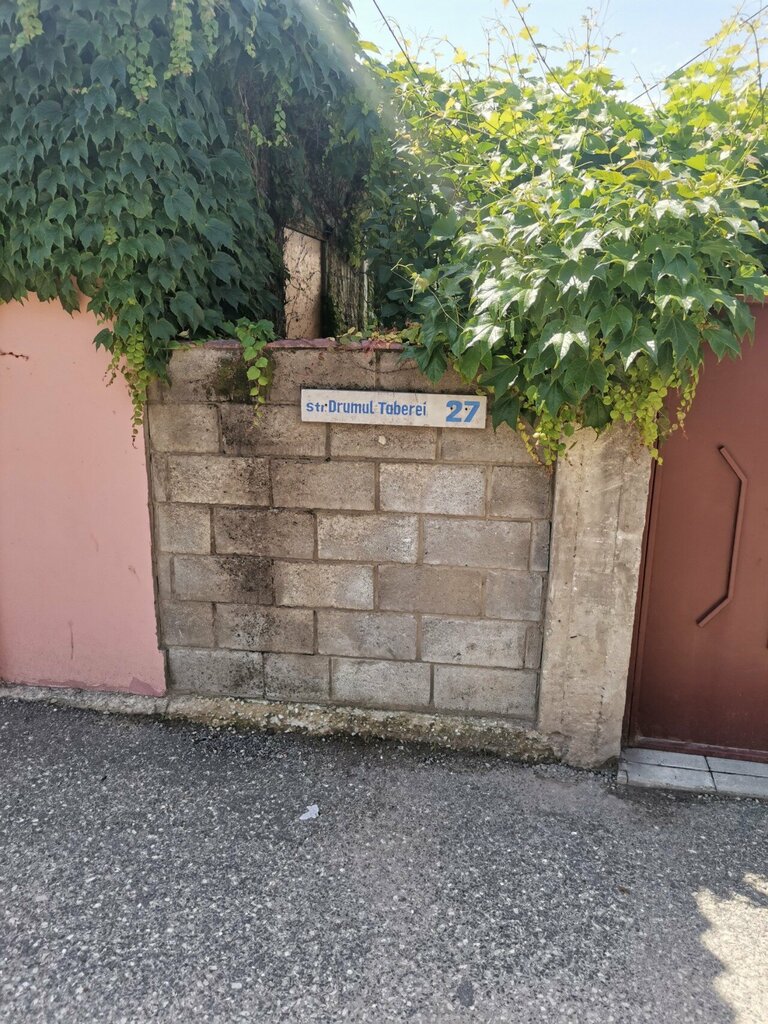 Dövmeciler Next Level Tattoos Costi, Kişinev, foto