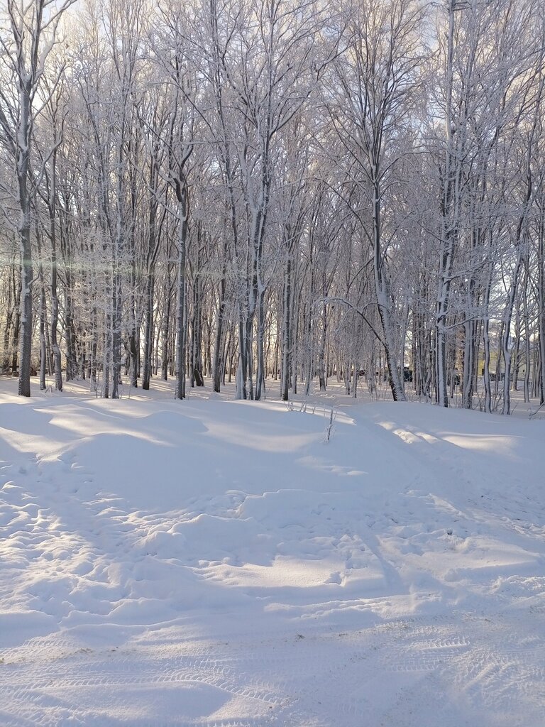 Kültür ve eğlence parkları Дубовый парк, Yaroslavskaya oblastı, foto