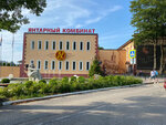 Amber Castle (Sovetskaya Street No:61А, posyolok gorodskogo tipa Yantarny), sergi salonları, galeriler  Kaliningradskaya oblastından