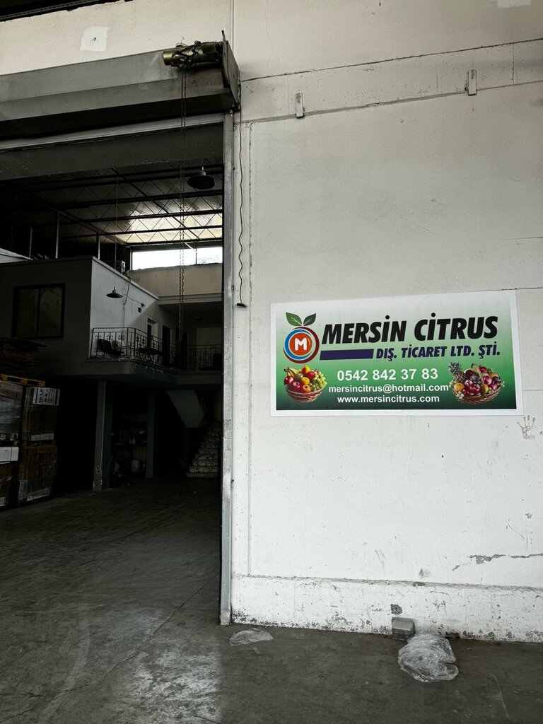 Toptan sebze ve meyve satışı Mersin Citrus Dış Ticaret Limited Şirketi, Gaziantep, foto
