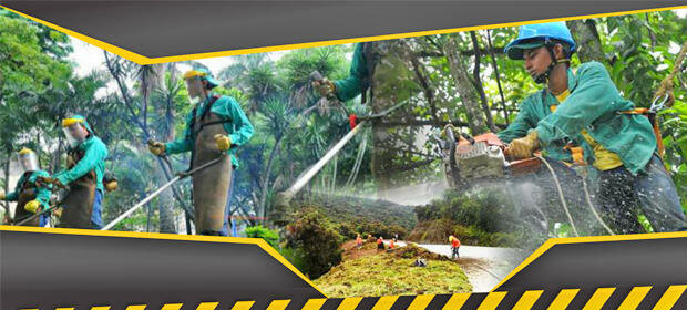 Yapı mağazası Inagán Ingeniería S. A. S Alquiler de Maquinaria, Cali, foto