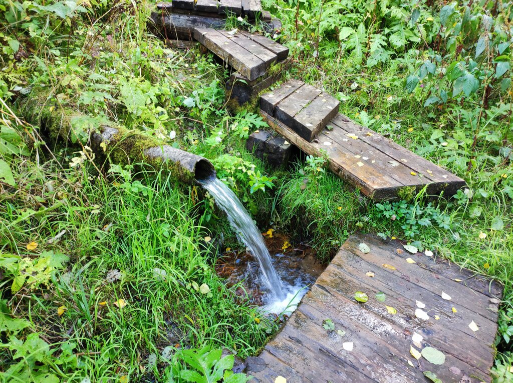 Pınar, çay Spring, stream, Moskova ve Moskovskaya oblastı, foto