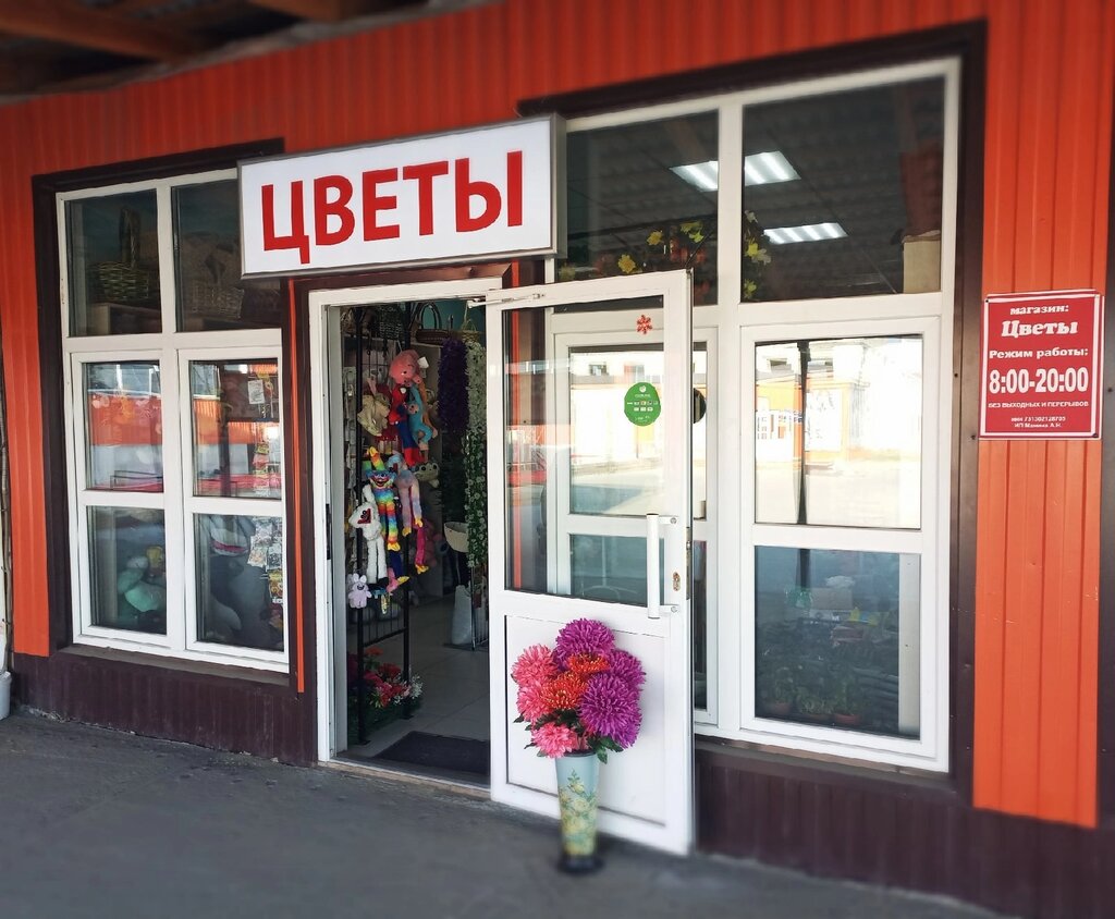 Çiçekçiler Цветочный Рай 73, Ulyanovskaya oblastı, foto