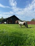 Usadba Blagodat (Dachny pereulok No:3В, derevnya Kotelnikovo), hobi kulüpleri  Saint‑Petersburg ve Leningradskaya oblastından