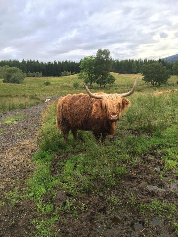 Otel Tirindrish House, Highland Konsey Bölgesi, foto