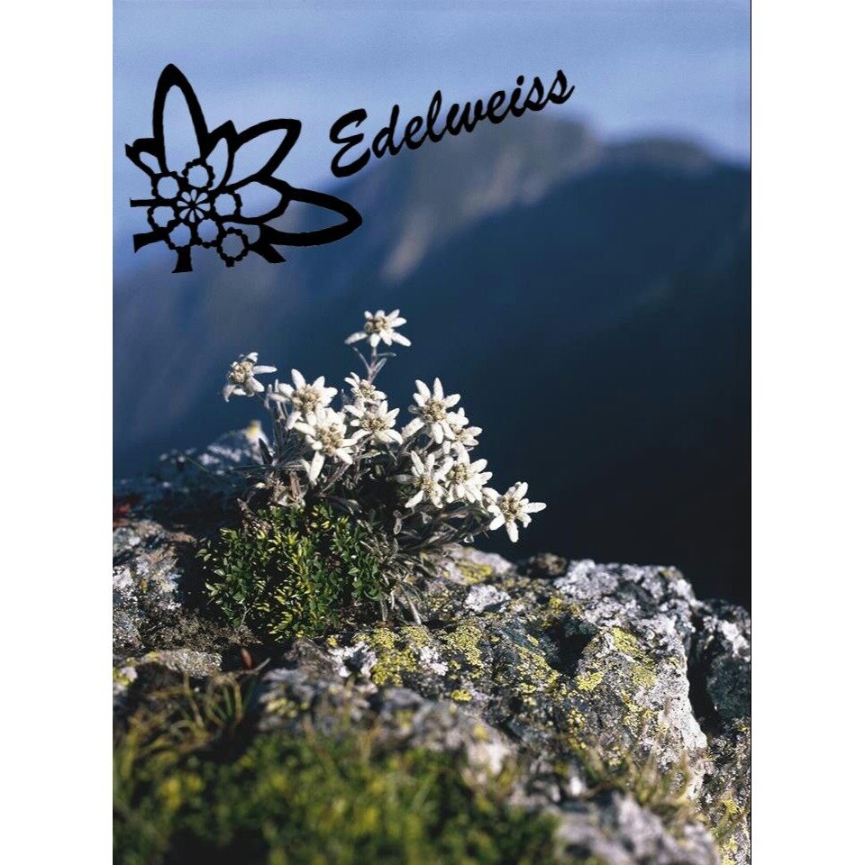 Güzellik salonu Edelweiss Estética, Oviedo, foto