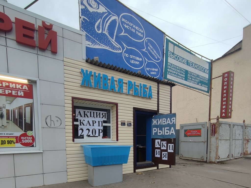 Balık ve deniz ürünleri Live fish, Voronej, foto