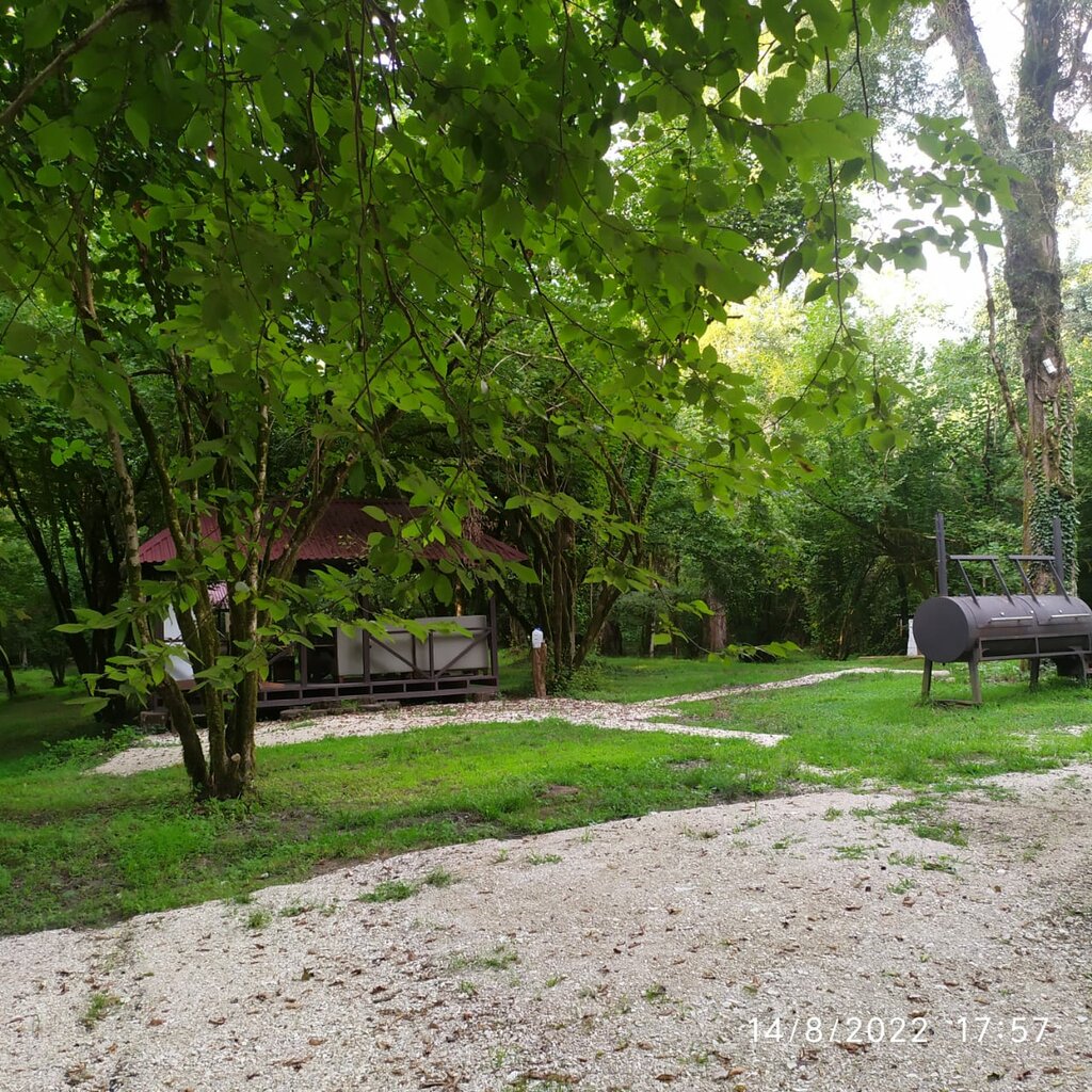 Piknik alanı Место для пикника, Soçi, foto