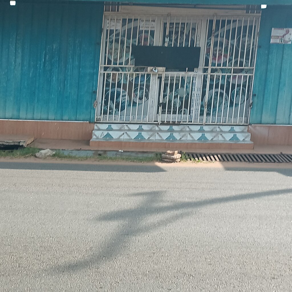 Berberler Presidential, Dünya, foto