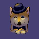 Mr. Paw (3-ya Tselinogradskaya ulitsa No:2), evcil hayvan kuaförleri  Krasnodar'dan