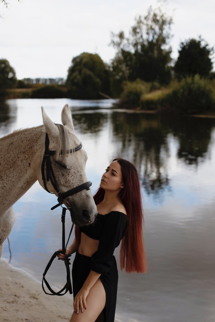 Resort oteller, tesisler Onix, Riazanskaya oblastı, foto