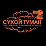 Сухой туман (Moscow Region, Ramenskoye), detaylı oto bakımı  Ramenskoye'den